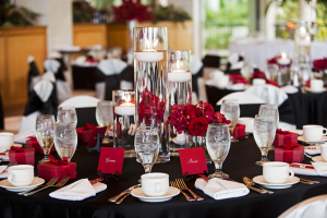 myah + jaime irick : honolulu : hawaii - chrissy lambert photography